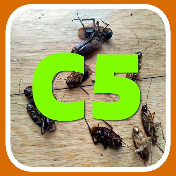 Air conditioner cleaning service in Bangkok - Mr. Handyman From Japan